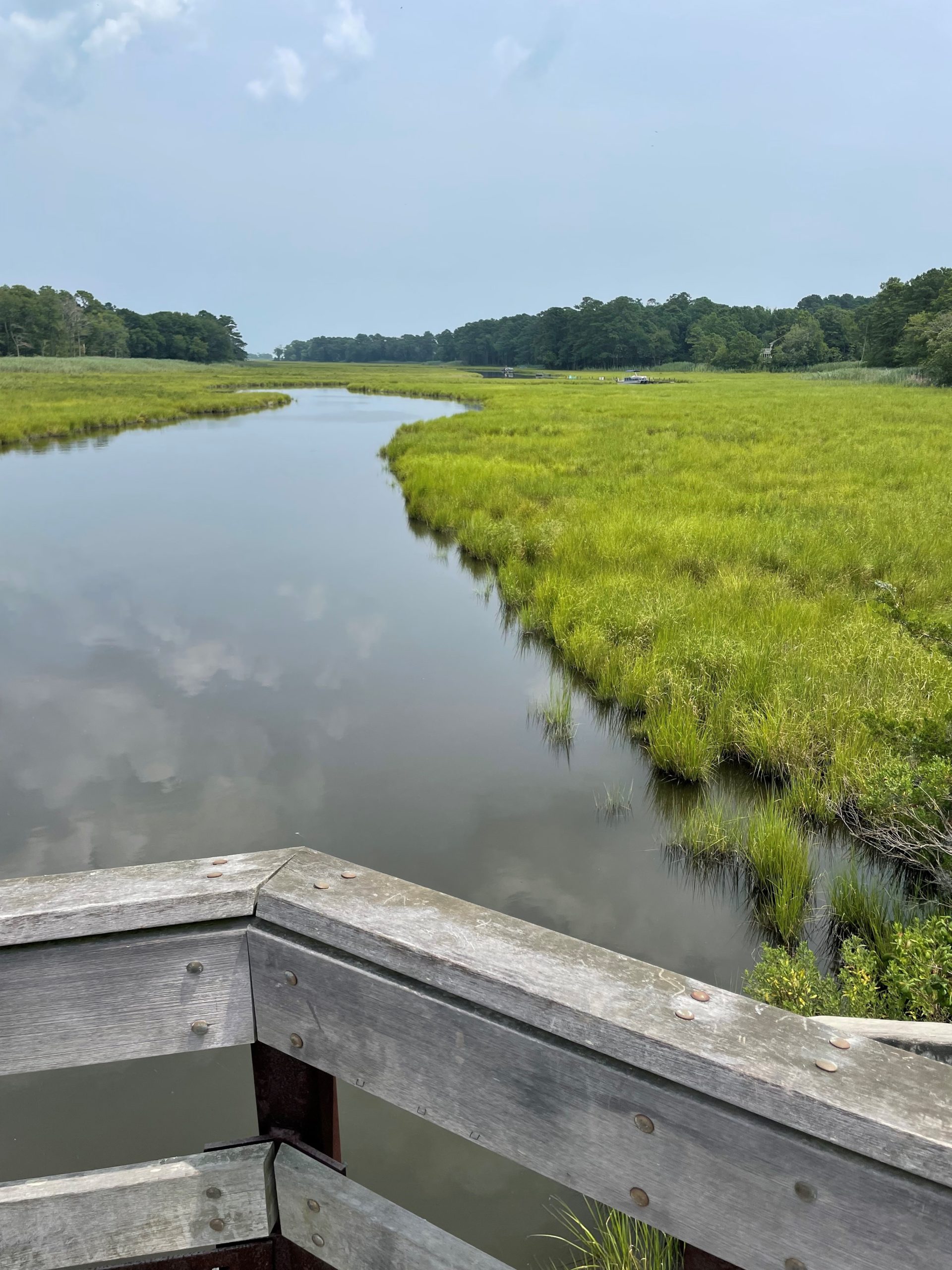 Georgetown-Lewes-Rehoboth Trails - Bike Rides & Breweries