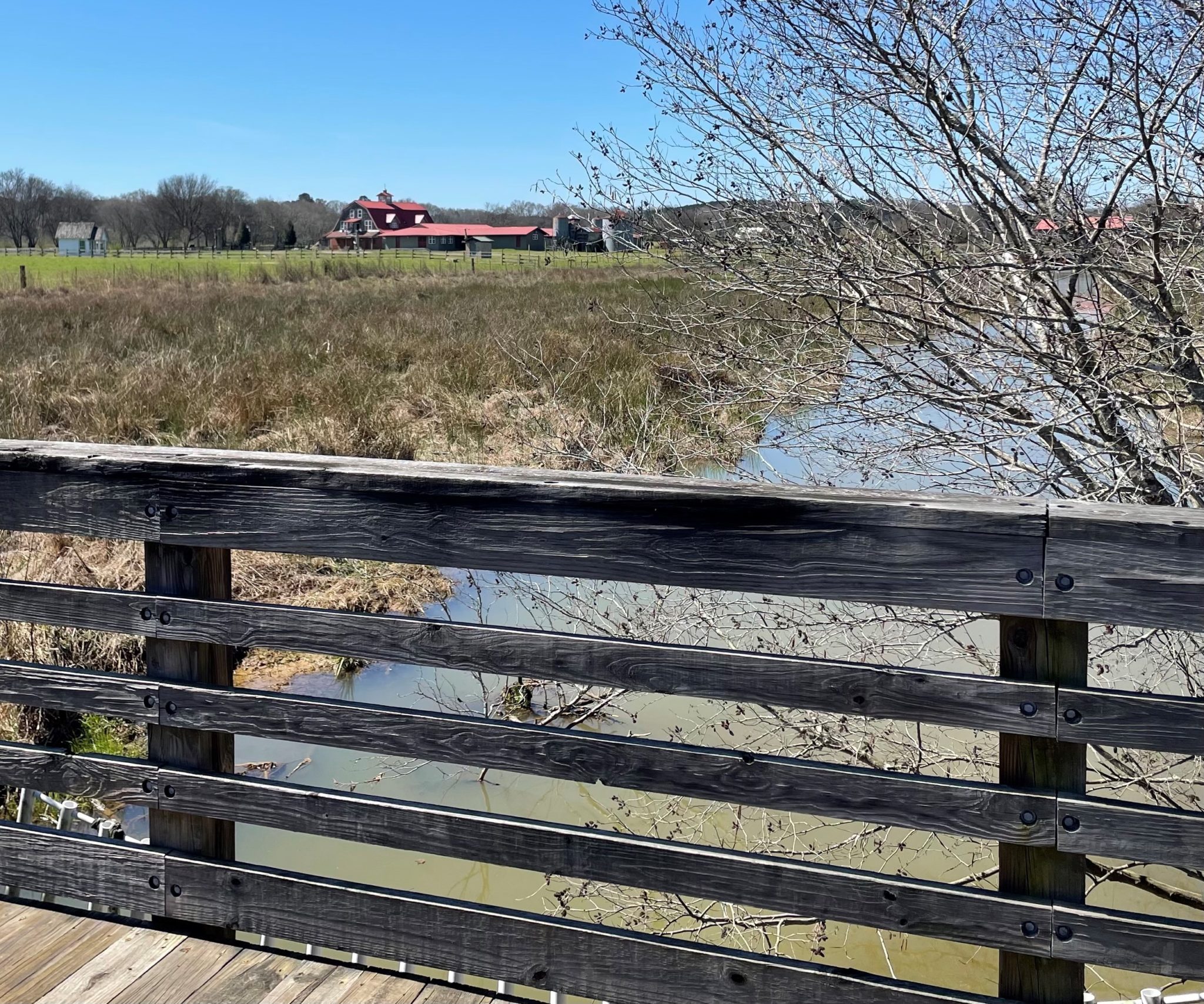 Silver Comet Trail - Atlanta, GA - Bike Rides & Breweries